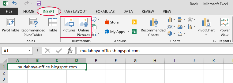 Memasukkan Gambar Dalam MS.Office Excel 2013 - Mudahnya Office