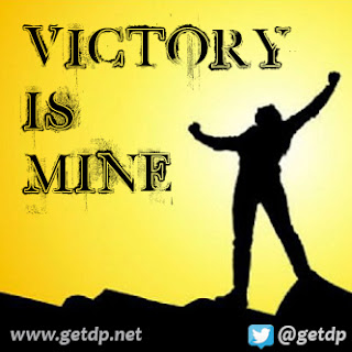 OLD GETDP: Victory is mine
