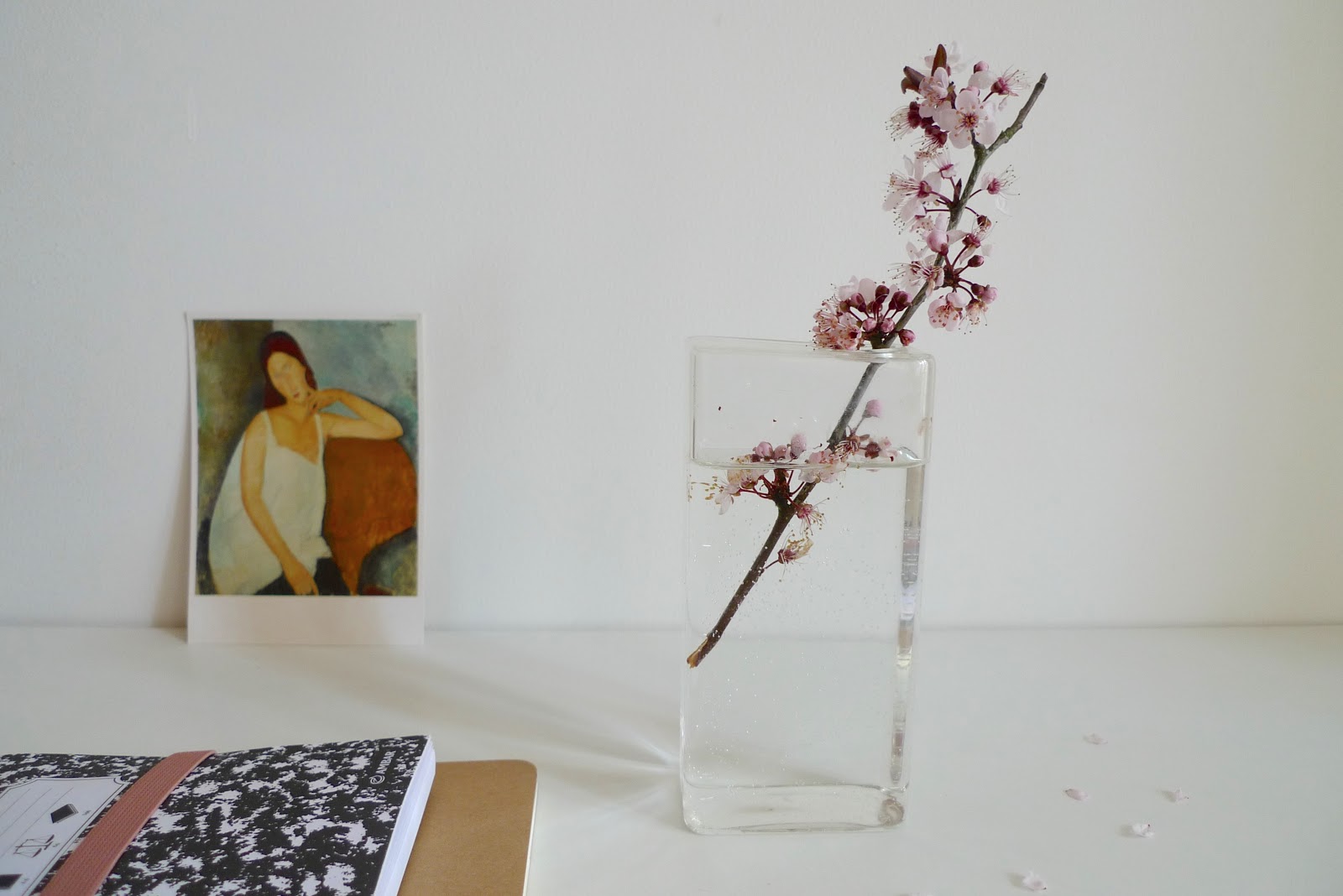 MI MITRIKA: Mini herbarium