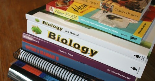 The Unlikely Homeschool: 10th Grade Homeschool Curriculum Choices