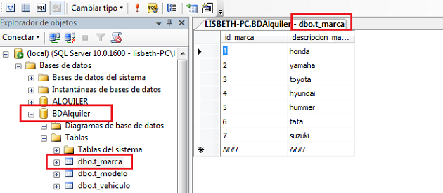 Insertar Datos de Forma Grafica en SqlServer - NeytorTec Tutoriales Web