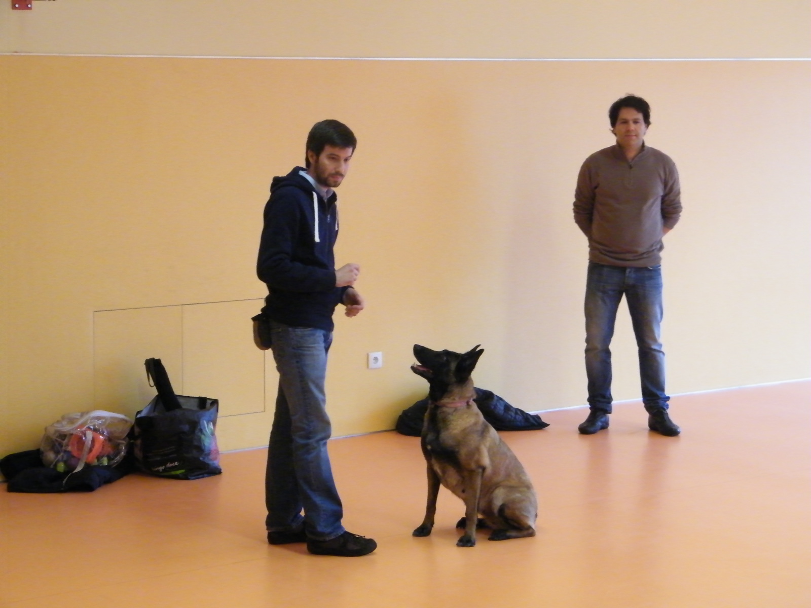 Coração Azul promoveu acção de Treino Animal