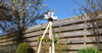 Atelier WOLfjes Wereld: Meiboom