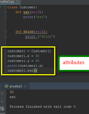 Class & Constructor - American Python