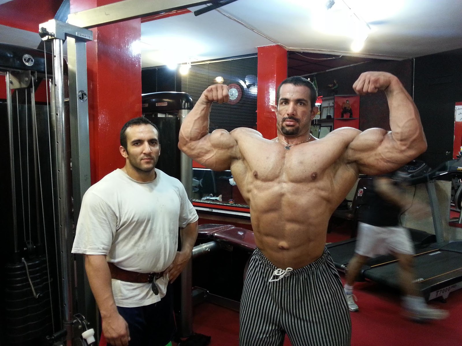 Muscle Lover: Iranian Super-Heavyweight bodybuilder Mojtaba Notarki