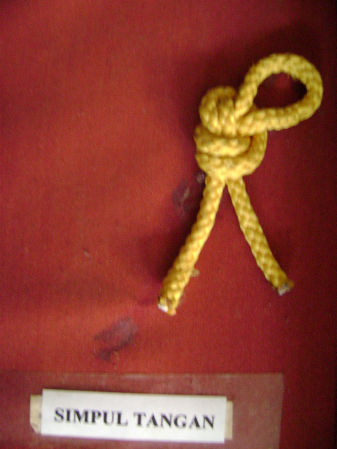 Tali dan Simpul ~ Pramuka Dapat Apa