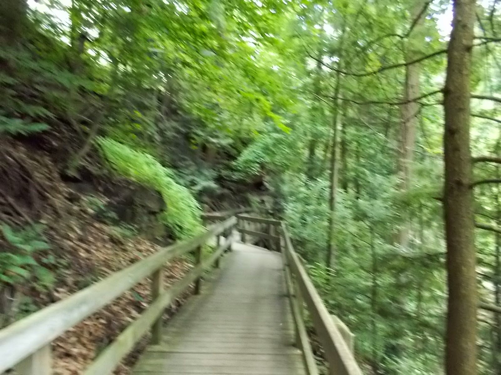 NEO Trail Club: Course Preview of the Youngstown Ultra Trail Classic (YUTC)