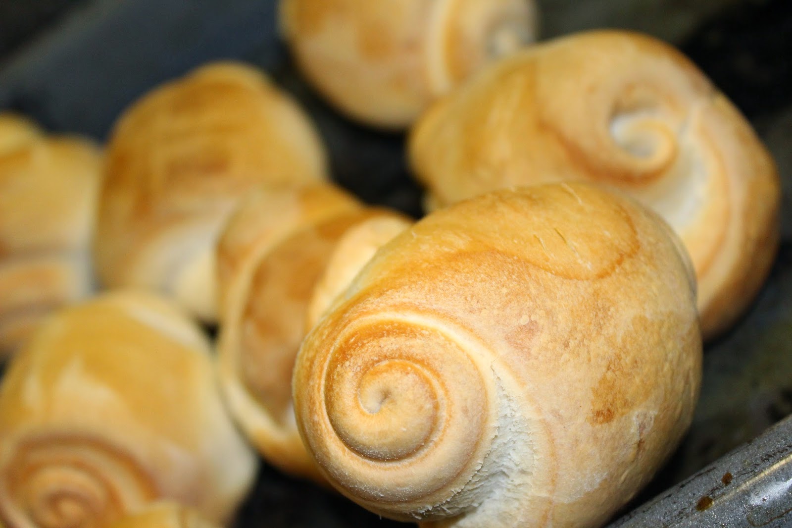 What I did last Saturday: Deeghuys Kimberley, North Cape Mall