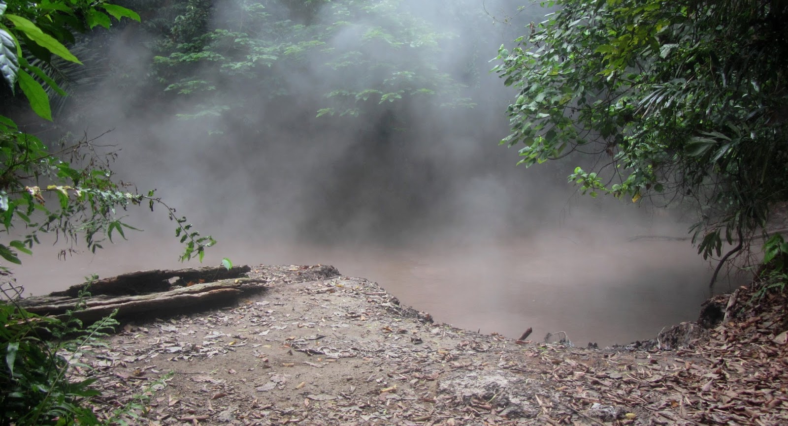 Crimson's Travel Report: Mt. Makiling: with side trip to Dampalit Falls