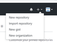 the wannabe programmer