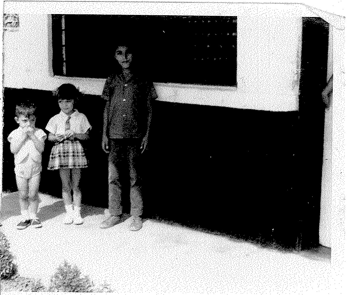 BIOGRAFIA PERIODISTICA Y FAMILIAR DE FERNANDO ANTONIO AWAD BLANCO ...