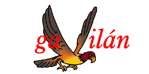 CUENTAME UN CUENTO DE MAICAO: EL GAVILAN Y EL CONEJO