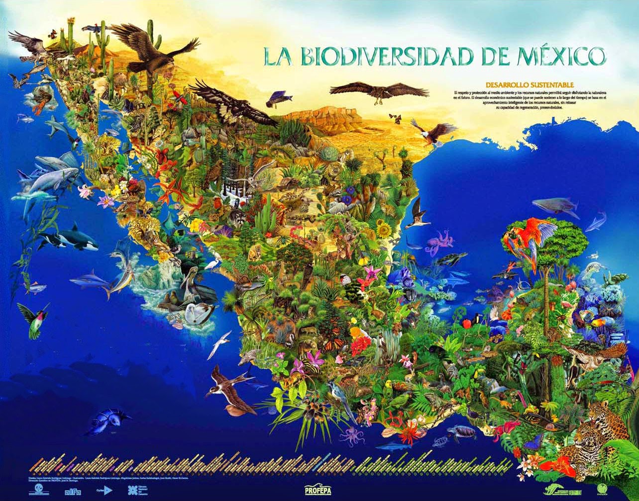 Biodiversidad: ¿Qué es bidiversidad?