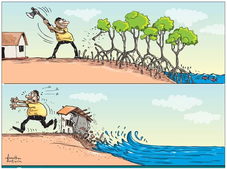 POLUSI - Biology Page