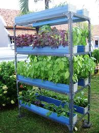 Gambar Contoh Pertanian Bandar ~ Pertanian Bandar Kuala Lumpur