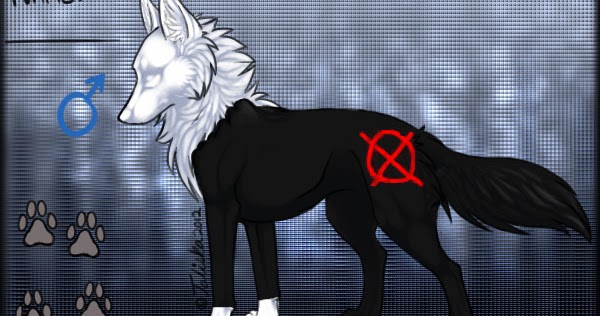 The Killers: Slender Dog