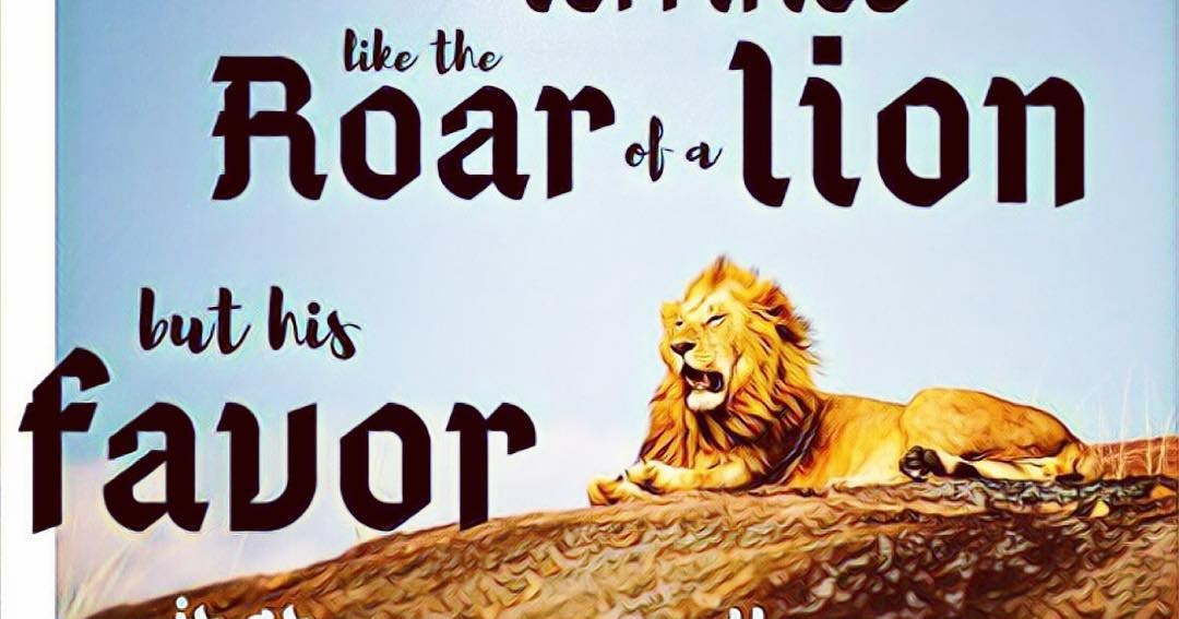 David Michael Lippman