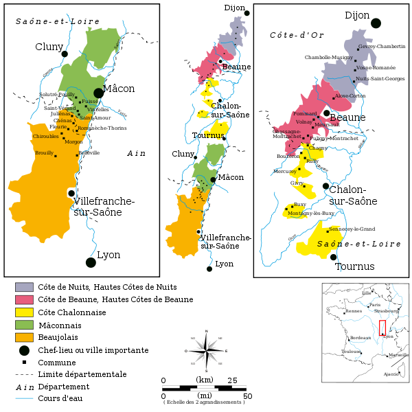 Guide personnel des vins: Bourgogne AOC : 8 appellations régionales