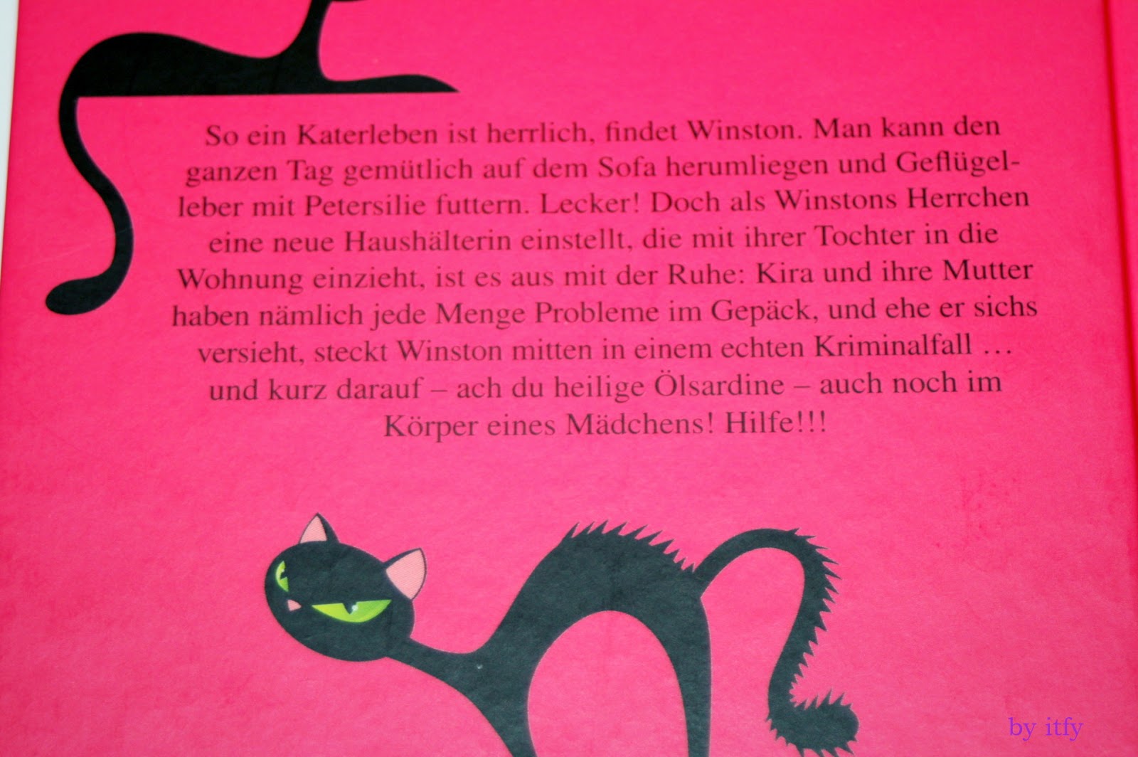 I TEST FOR YOU :-): Kinder/Buch Tipp: Winston Ein Kater in geheimer Mission