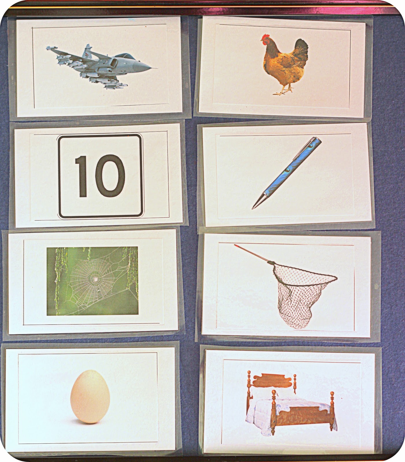 Like A Bird: Three letter words