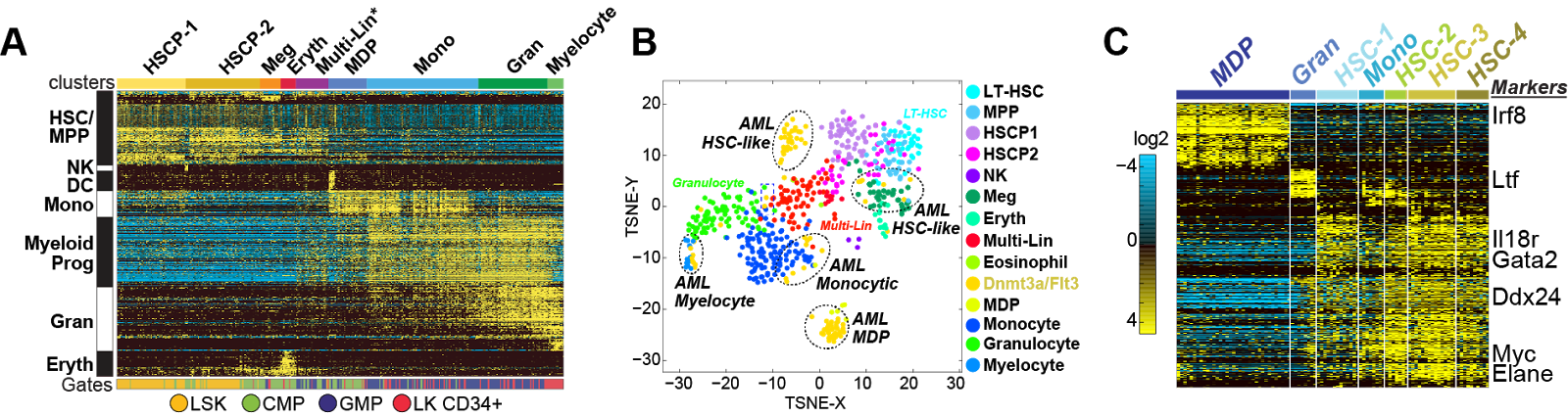 Altanalyze Transcriptome Analysis Hierarchical Clustering Heatmaps In