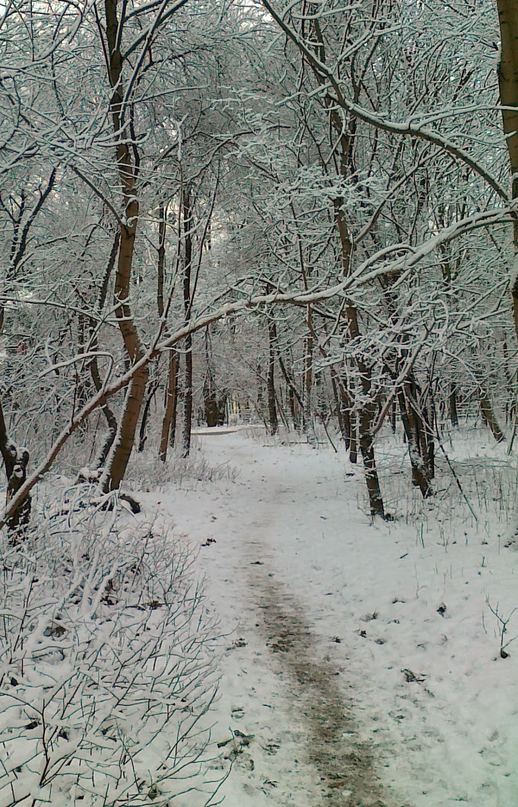 Pat Papertown 2: January Snow in Warsaw