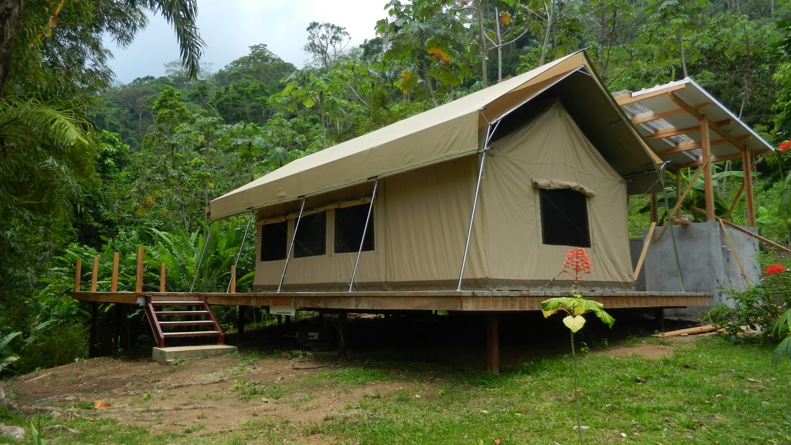 Experience Nature: A Visit to the Canopy Camp Darien