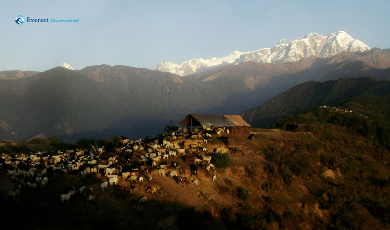 Blogger Bidur : GURUNG HERITAGE TRAIL (.........an oppurtinity to ...