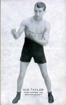 The Boxing Glove: TBG Book Review:The Terror of Terre Haute:Bud Taylor