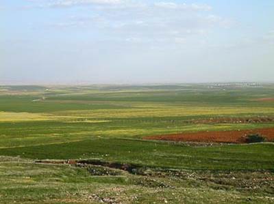 BÍBLIA E ARQUEOLOGIA: Moabe - Desejo ou Terra Fértil