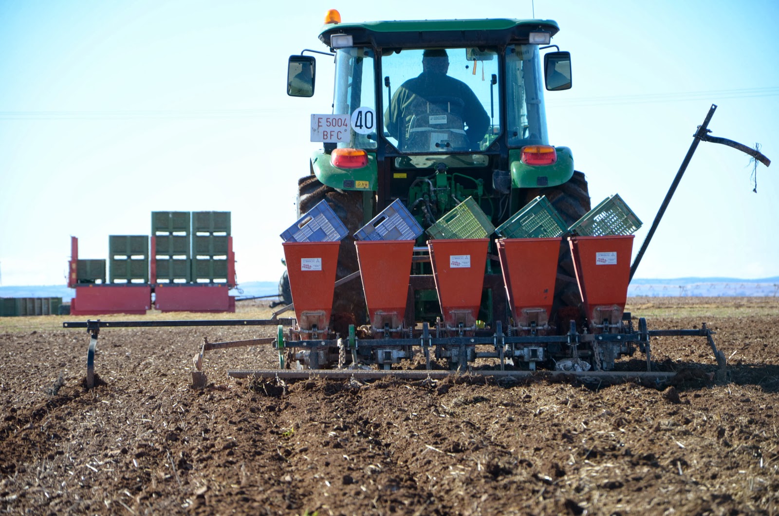 Garlic: Mechanical planter