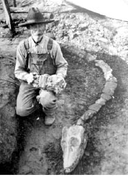 Antediluvian Salad: Plesiosaur Machinations VI: WE BITE!!