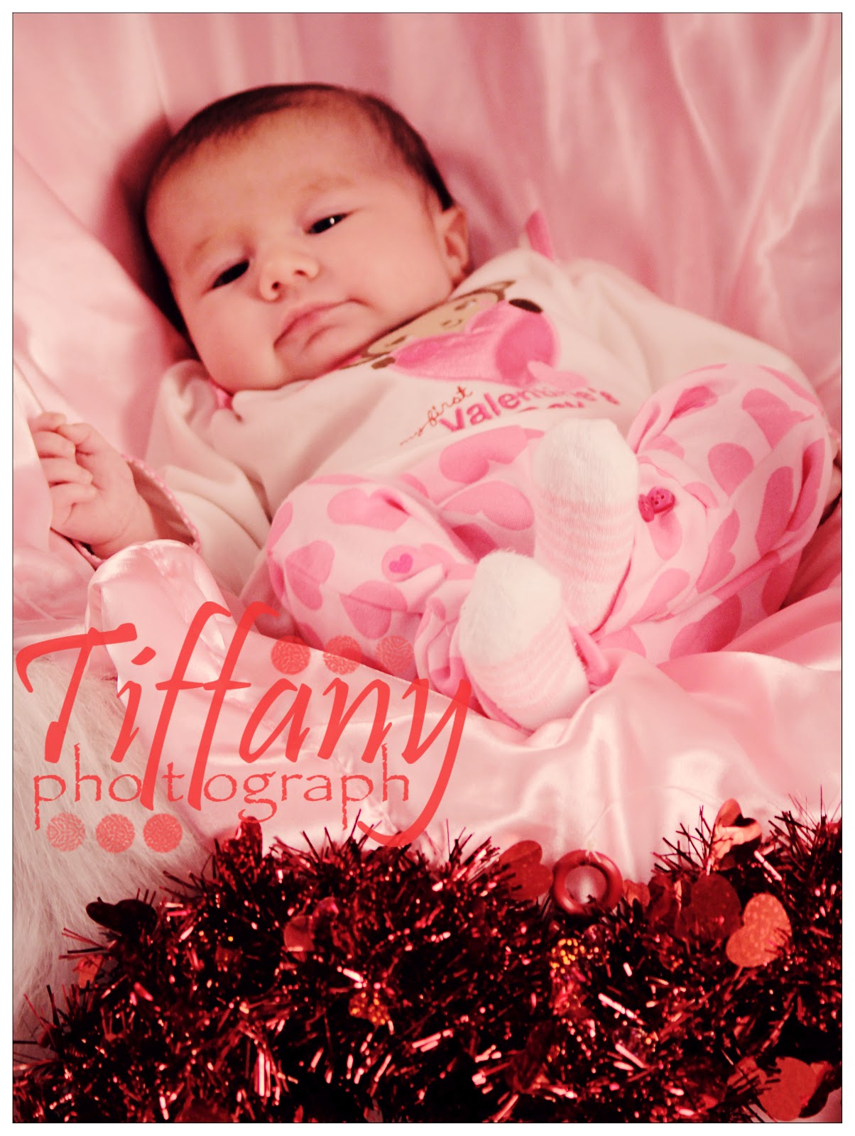 ~Tiffany Photography~