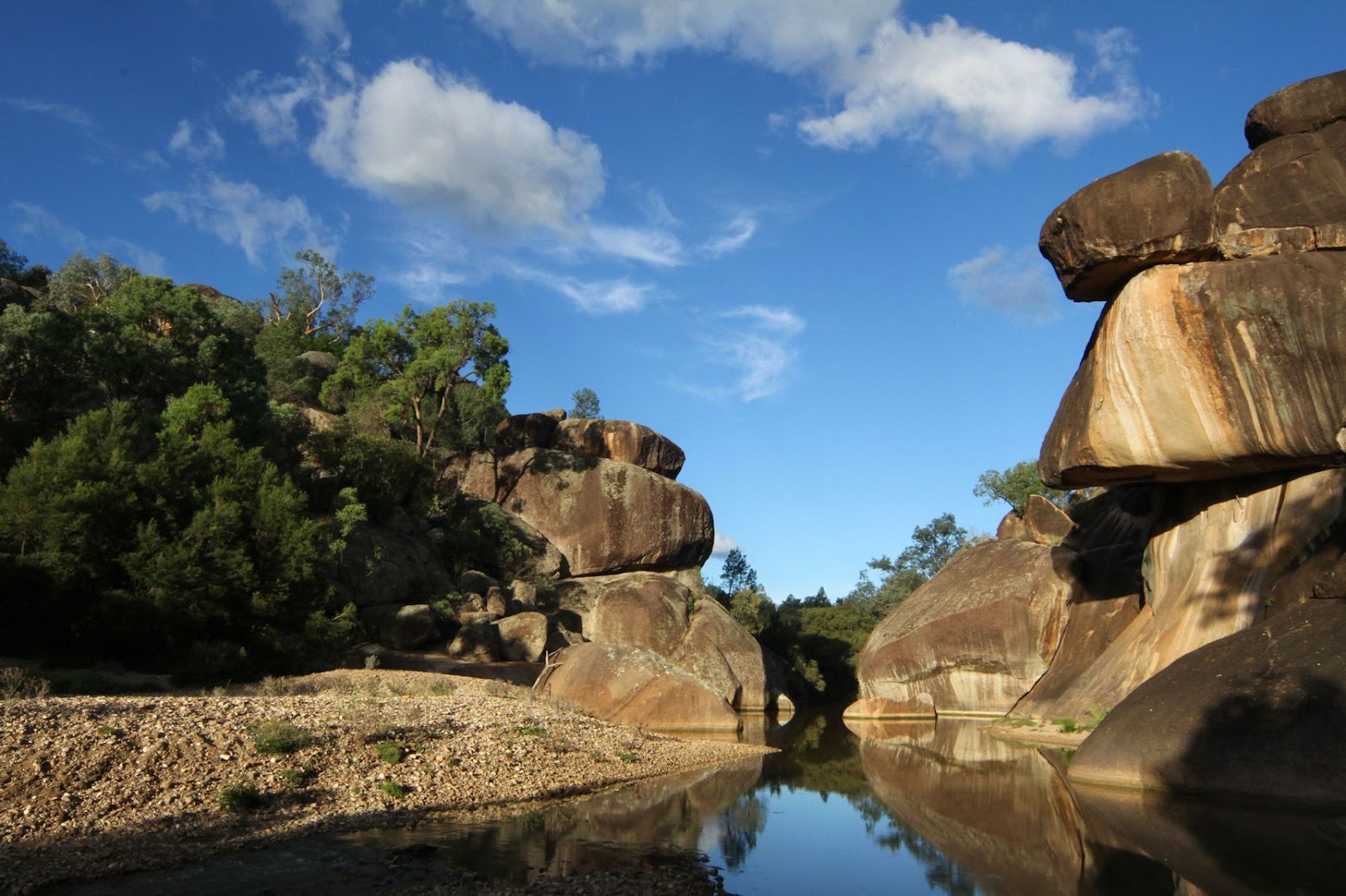 A Bird in the Bush: Warialda