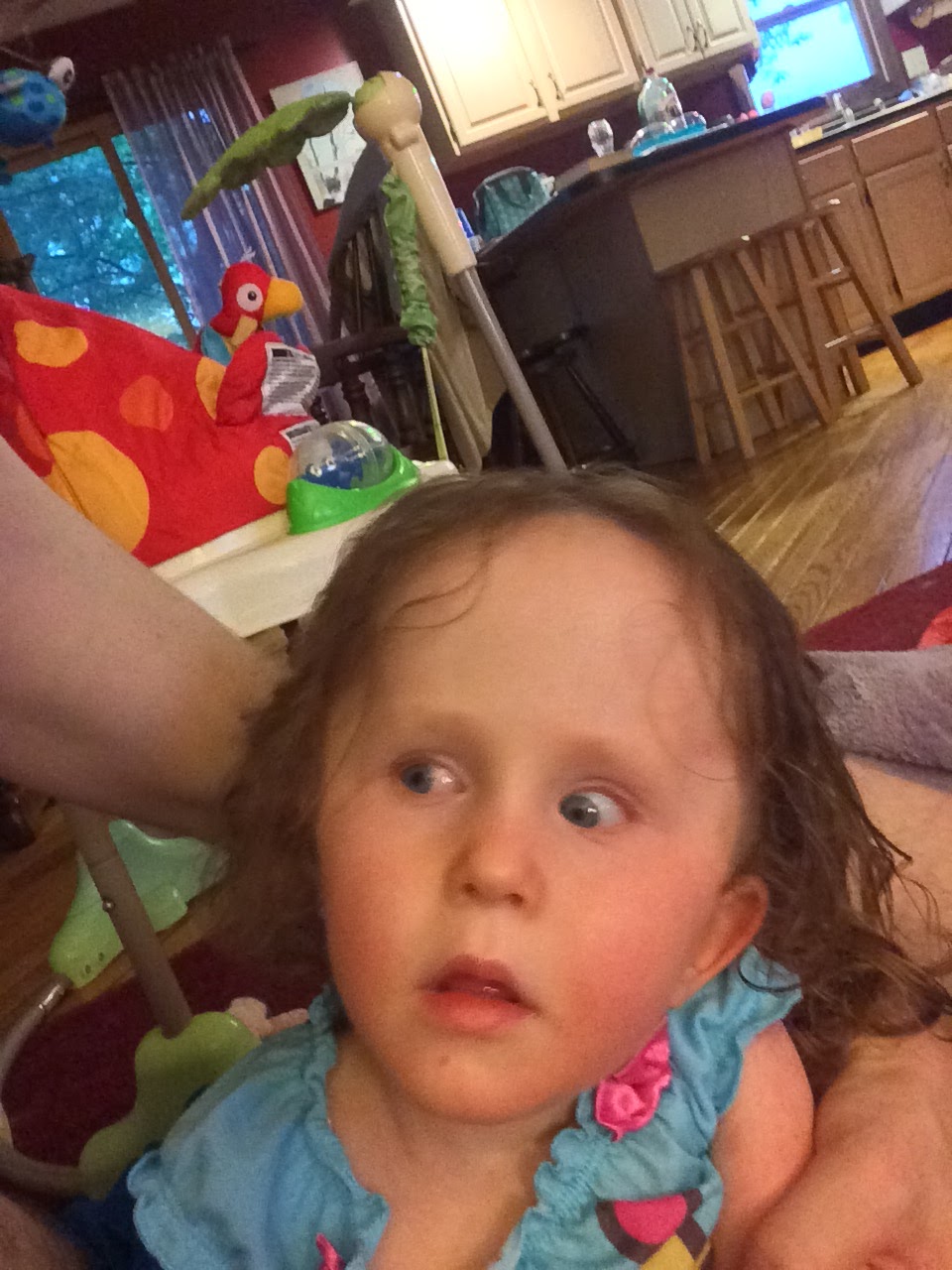 My Frogger Blog: 2017