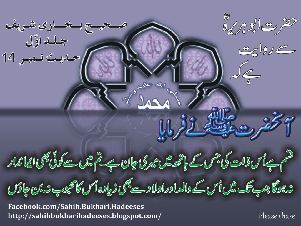 Sahih Bukhari Hadeeses: August 2012