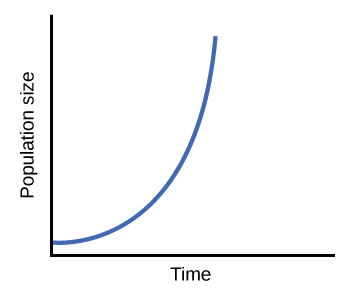 BOTANY HUB: POPULATION GROWTH CURVE