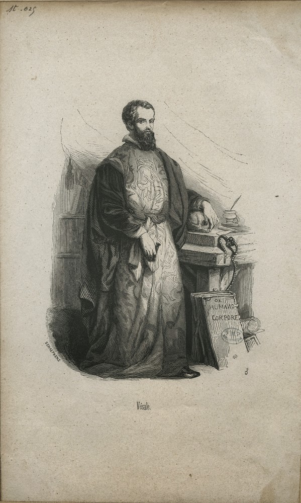 Historien.nes de la santé: L'art de Vésale