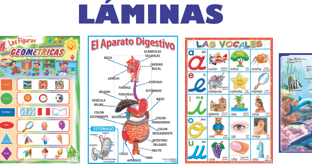 Ediciones Abedul: LAMINAS ESCOLARES