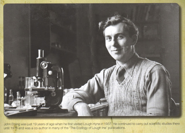 Zoology Jottings: The Kitching-Ebling split, Lough Ine (Hyne) and ...