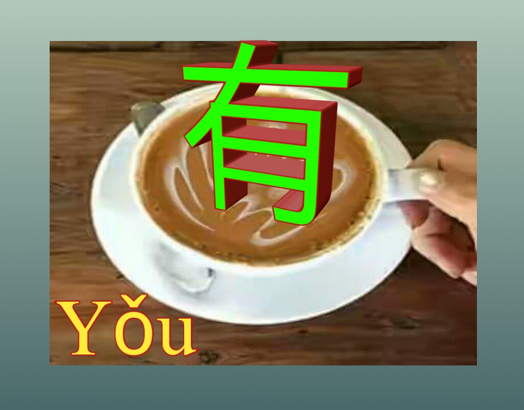 Penggunaan 有（Yǒu) - BELAJAR MANDARIN