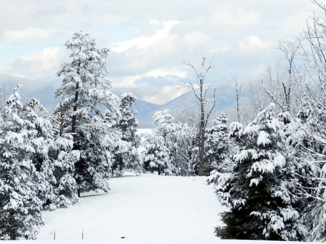 Blue Country Magic: More Snow Photos