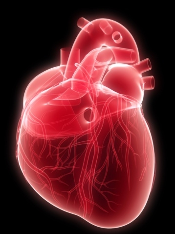 Health / Medicine: Atrial Fibrillation: Causes, Symptoms and Prevention ...