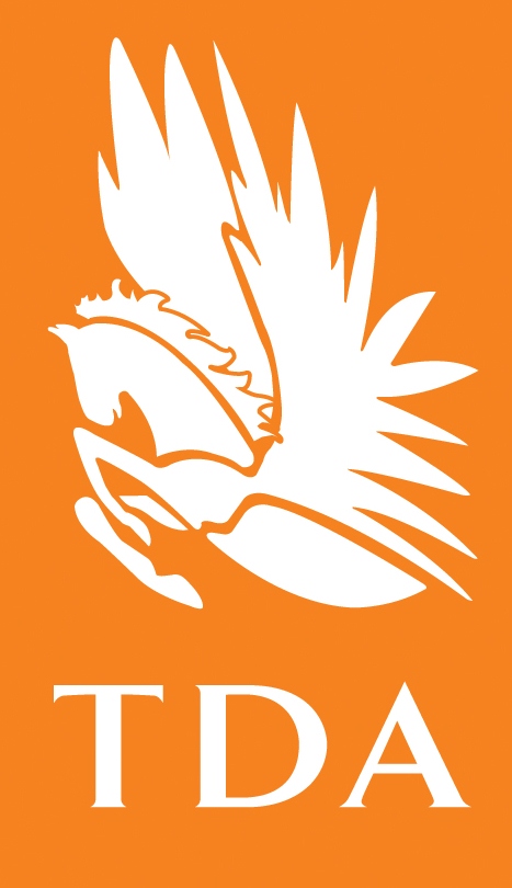 TDA - Training Development Academy