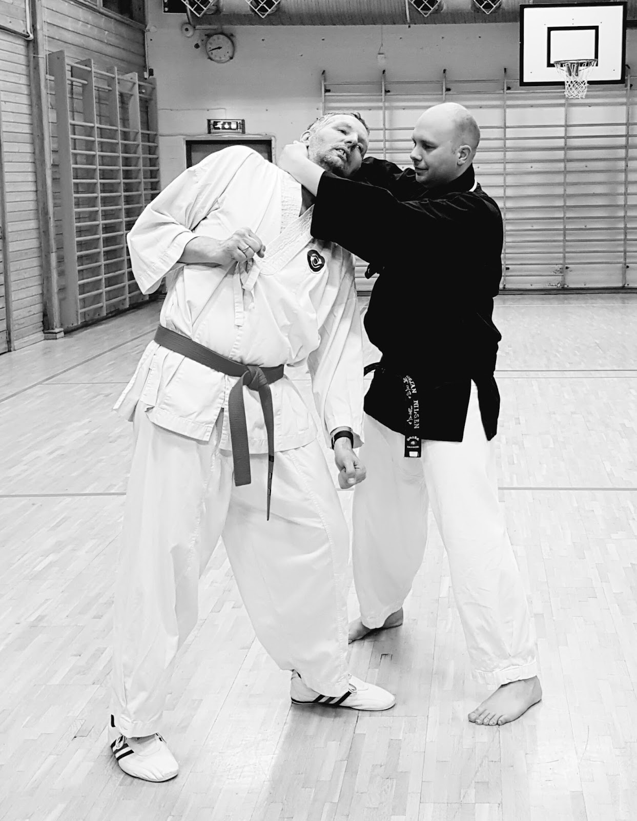 Traditional Taekwondo Ramblings: Taegeuk Chil Jang revisited (Follow up ...