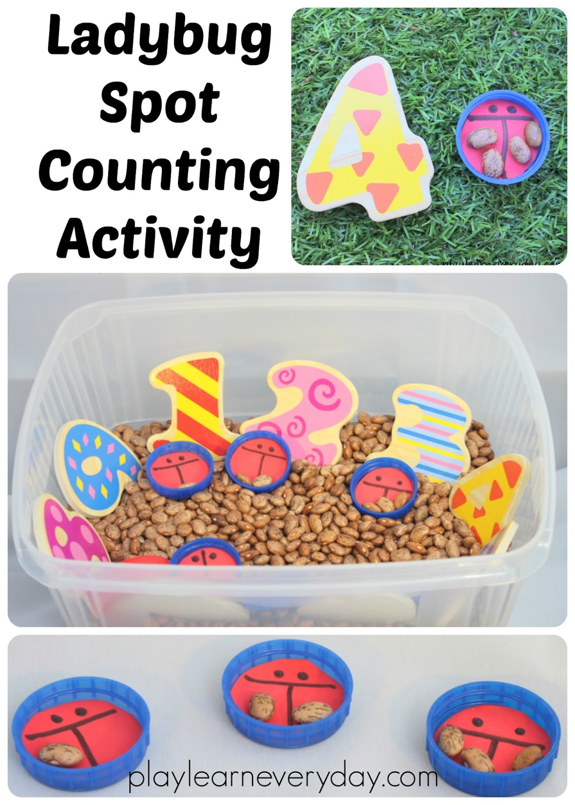 Ladybug Spot Counting Activity - Play and Learn Every Day