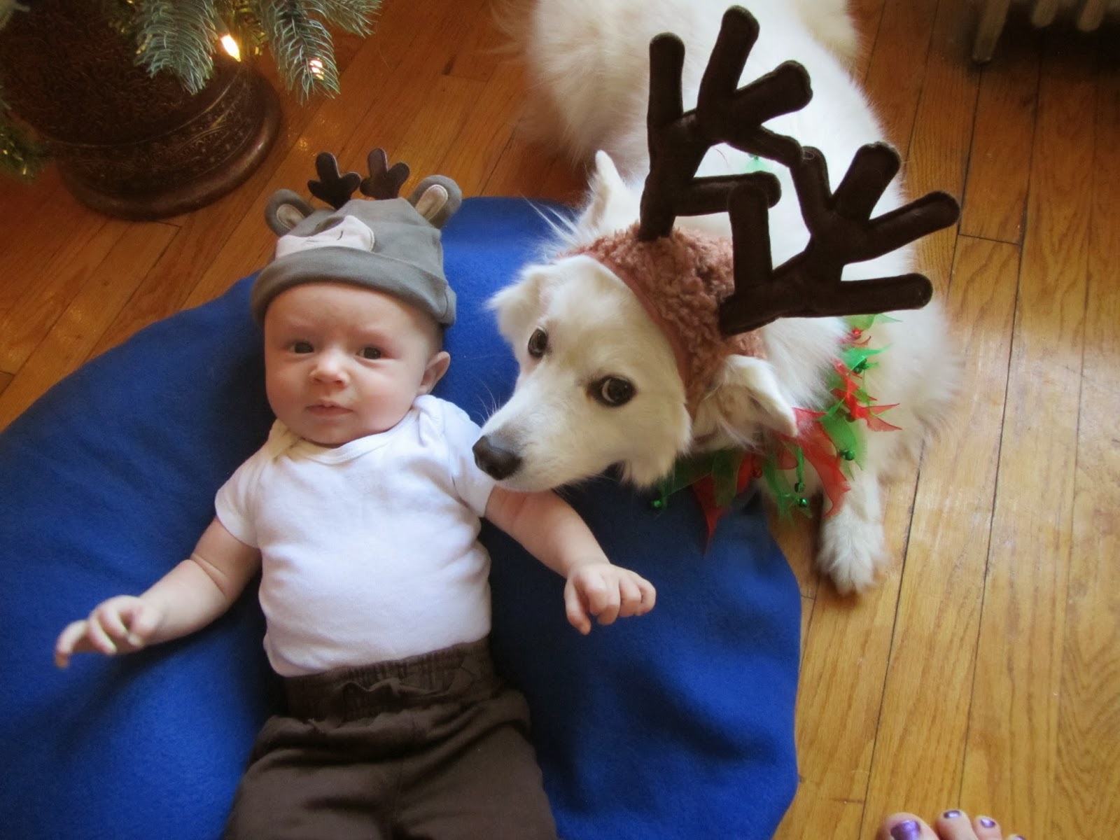 The Adventures of Keith, Rebecca and Family