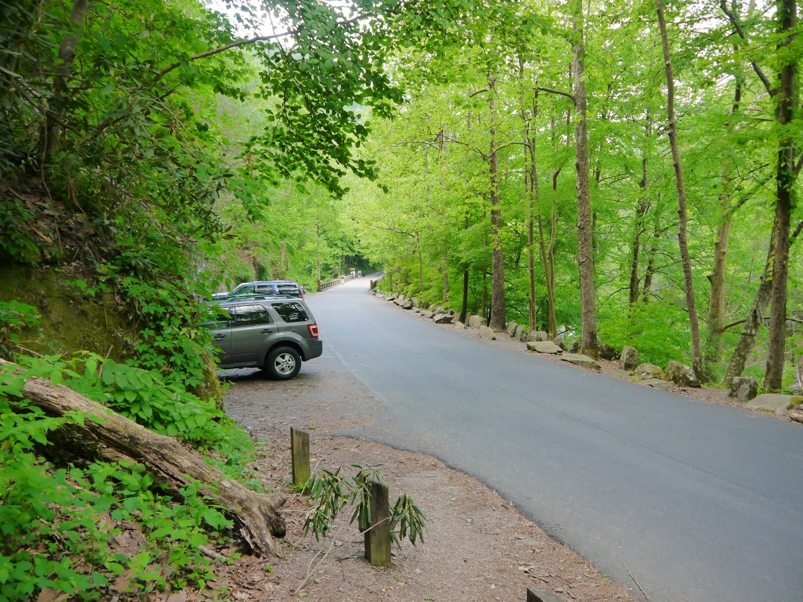 American Travel Journal: Bald River Falls and Kahuna Falls - Cherokee ...