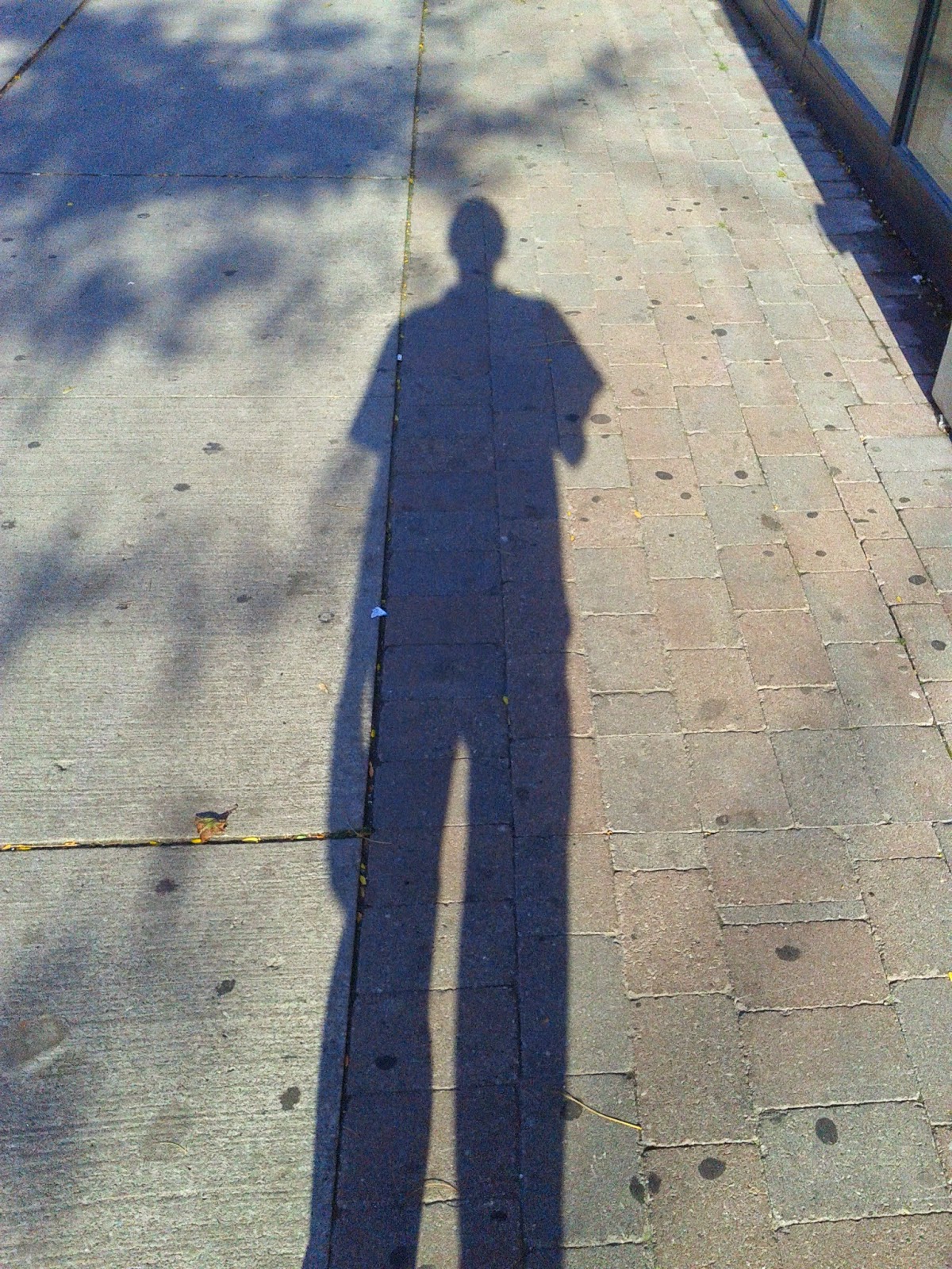 Toronto things: Stock photo: Tall skinny shadow