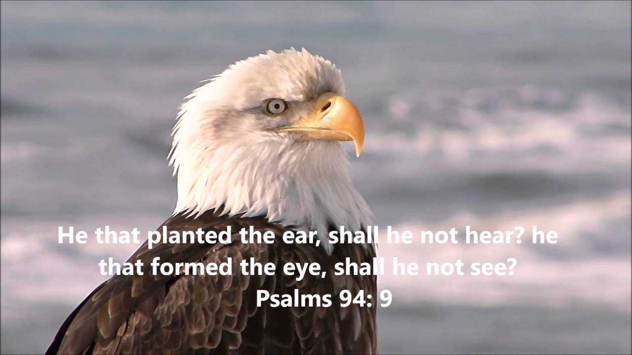 " WORD of TRUTH Lighthouse ": " WHO Instructs You ? " From Psalm 94